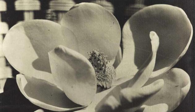 Man Ray Trust To Auction Important Works Of Dada And Surrealist Art ...