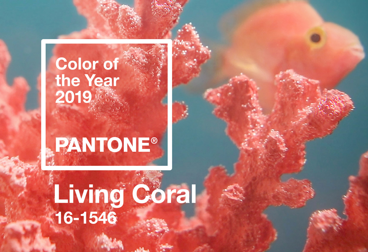 Living Coral Unveiled As Pantone Colour Of The Year 2019 - Artlyst